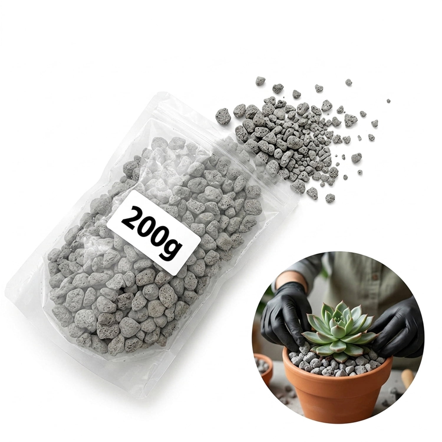 NOGIS Horticultural Pumice Stone for Plants, Succulent, Cactus, Bonsai ...
