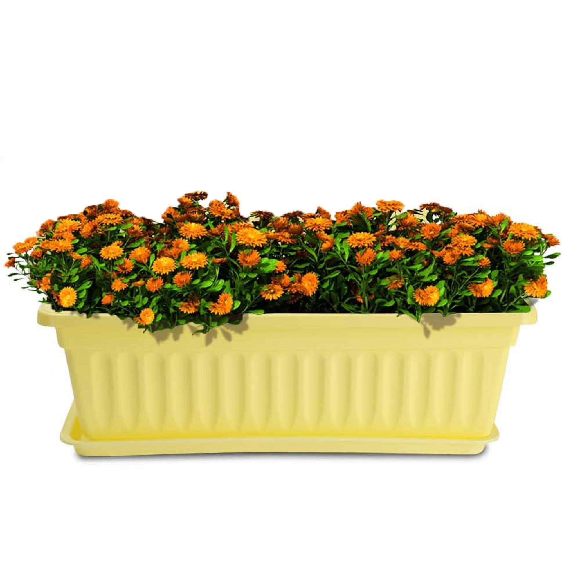 NOGIS Large Window Containers, Rectangular Veggie Planter Box, 16.9x7 ...