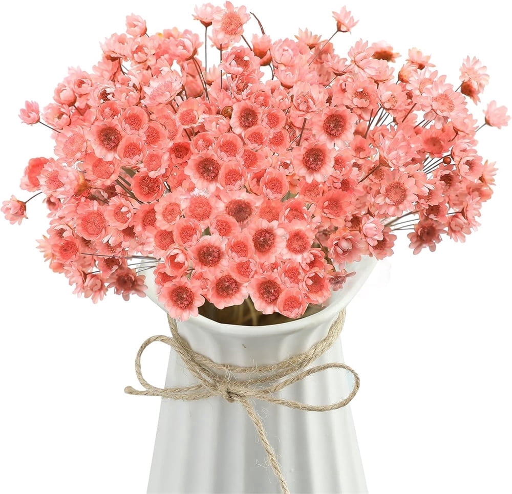 NOGIS Natural Dry Flowers Brazilian Small Star Daisy Dried Flowers ...