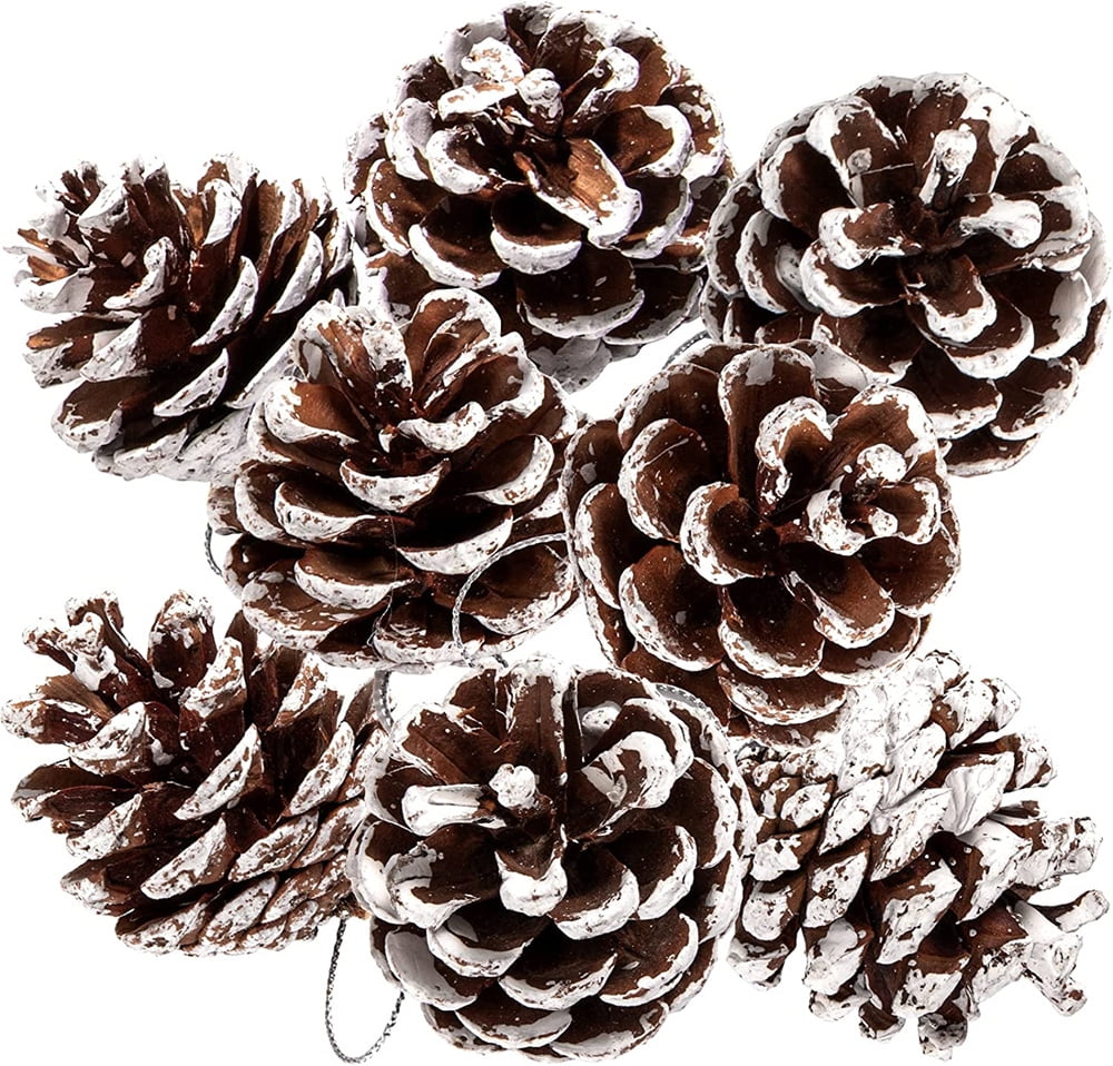 Natural Mini Pine Cones Ornaments -NOGIS Tiny Pine Cones for Christmas ...