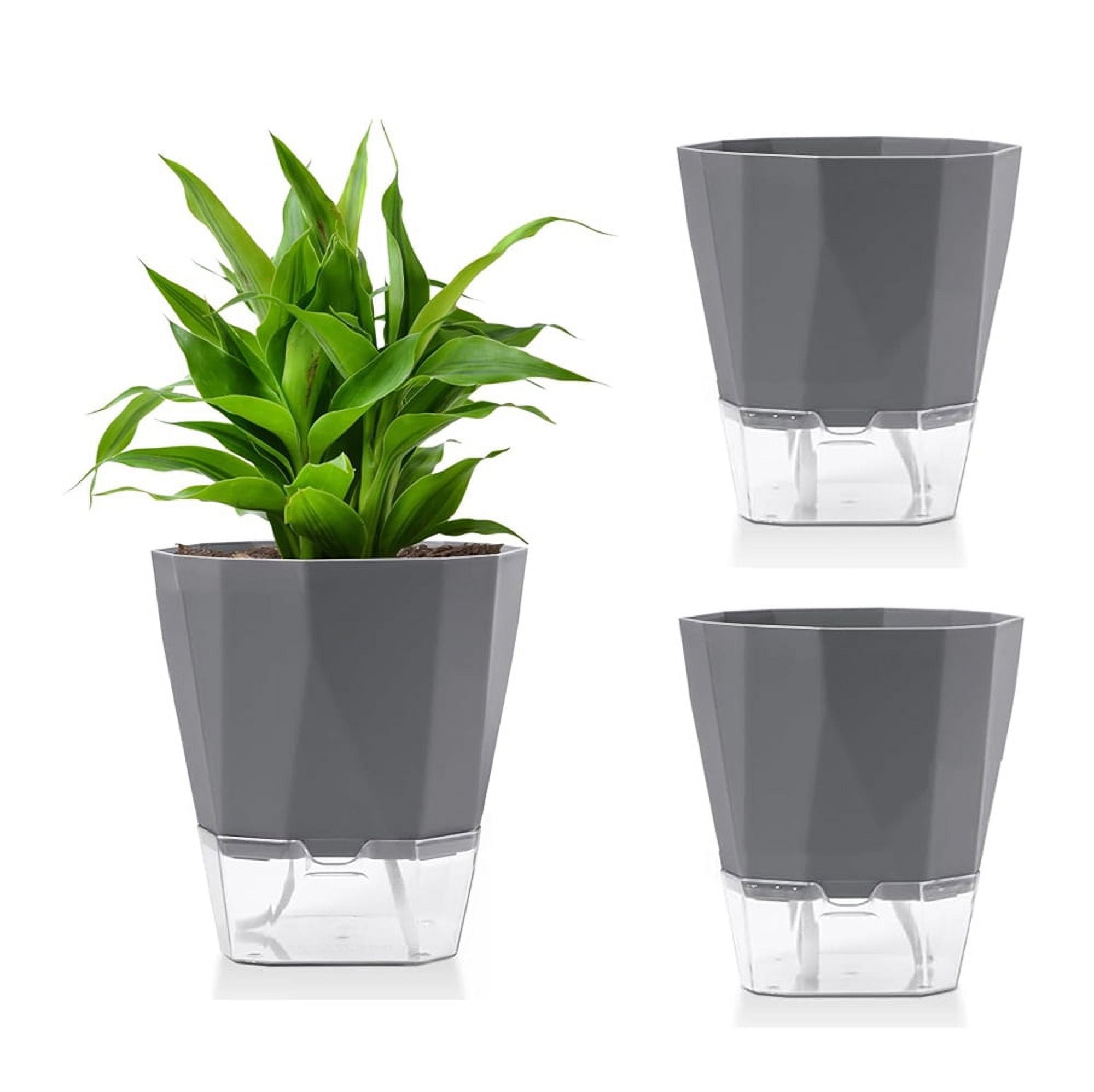 NOGIS Self Watering Planters, 2 Pack 6.7 Inch Self Watering Pots for ...