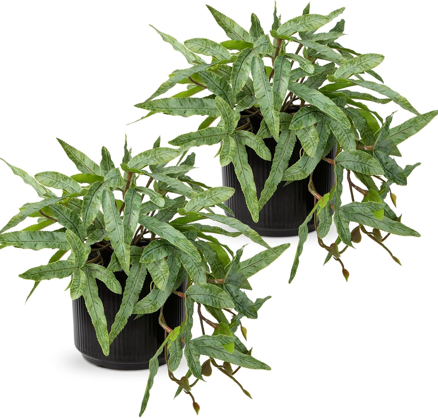 NOO Faux Plants Indoor 9'' Artificial Potted House Plant with Black ...
