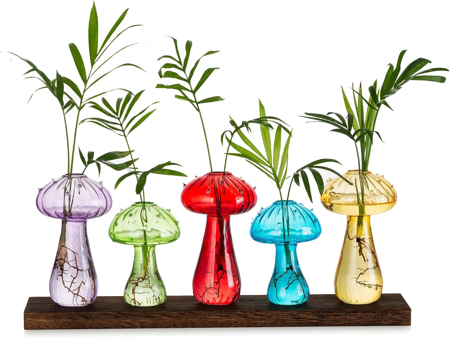 NOO Mushroom Plant Propagation Station: Cute Glass Terrarium Jar with ...