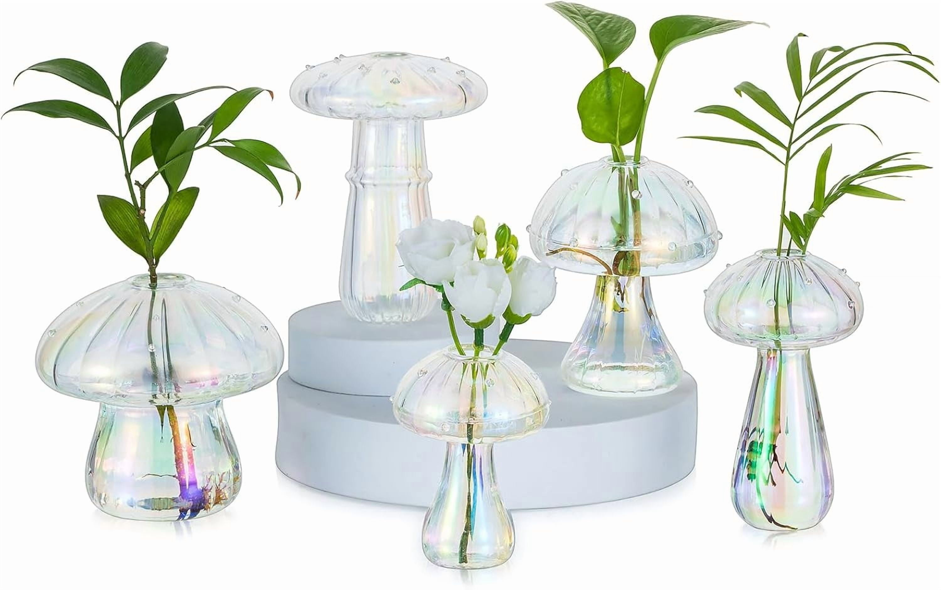 NOO Mushroom Propagation Stations for Plants: Iridescent Propagation ...