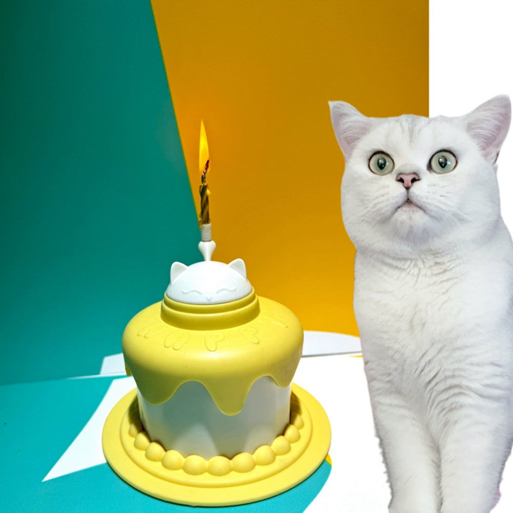 NORBI 3 in 1 Function Pet Bowl - Can Lid & Cat Food Bowl & Slow Feeder ...