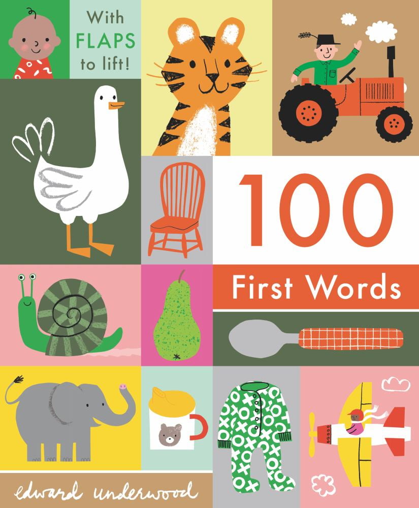NOSY CROW STAFF: 100 First Words: with Flaps to Lift (Board Book ...