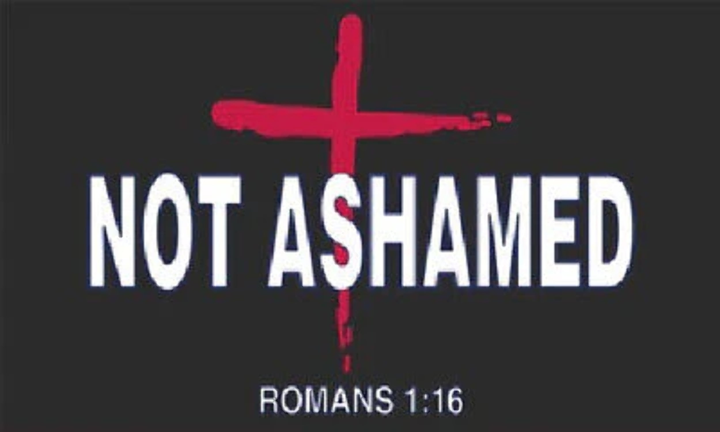 NOT ASHAMED ROMANS 1:16 JESUS CHRIST CROSS BLACK Vinyl Decal Bumper ...