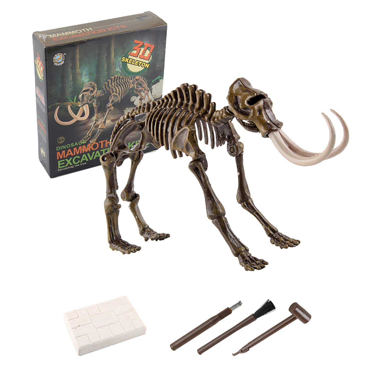 NOUGFVZP Dig Up Dinosaurs Skeleton Set, Dinosaur Digging Fossil Kit ...