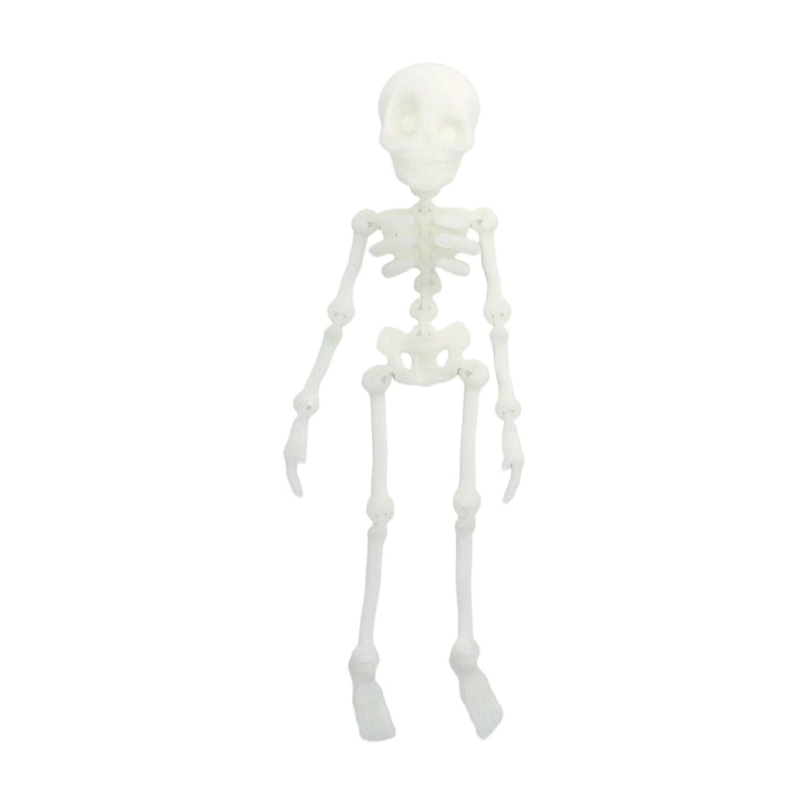 NOUGFVZP Poseable Skeleton Fridge Magnet 4.7 inches, Mini 3D Printed ...