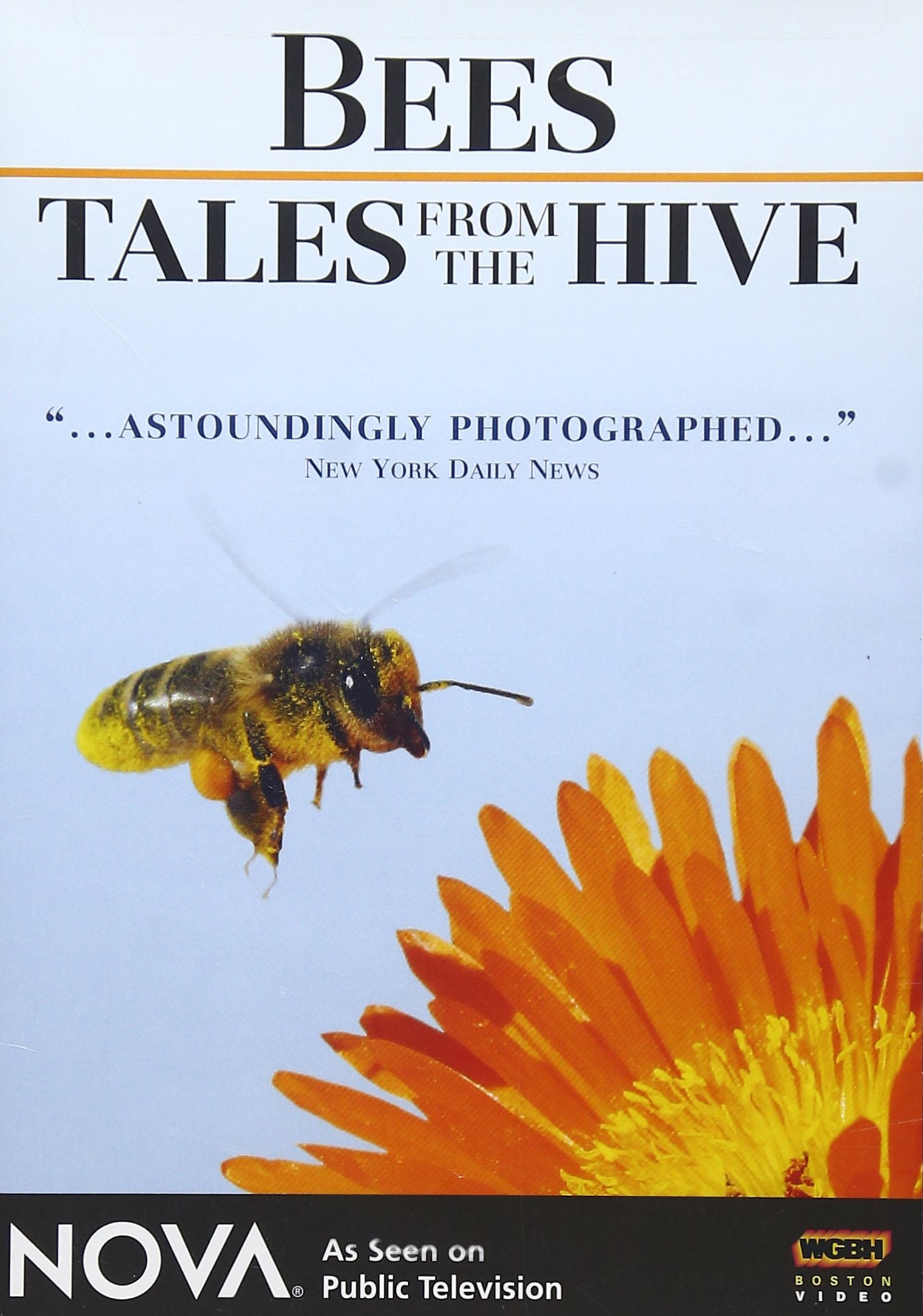 NOVA: Bees - Tales From the Hive (DVD) NEW - Walmart.com