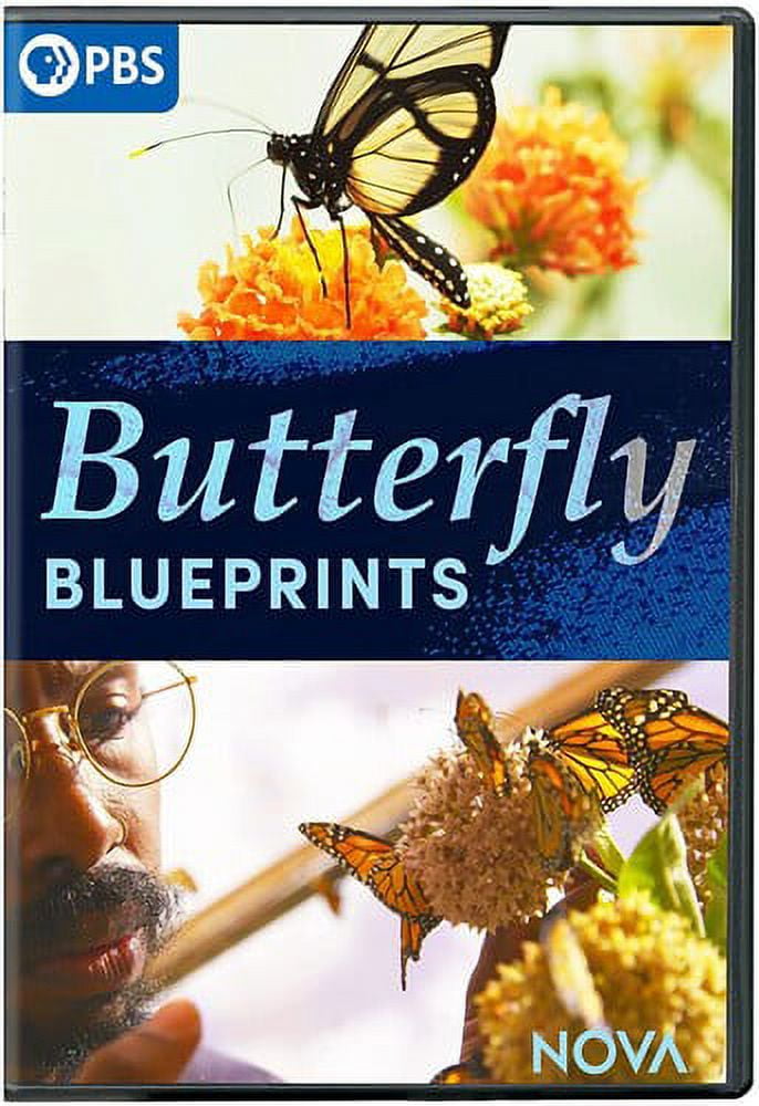 NOVA: Butterfly Blueprints (DVD), PBS (Direct), Documentary - Walmart.com