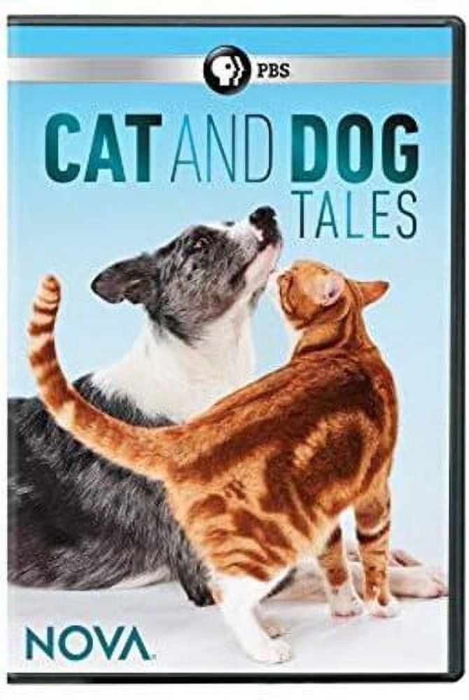NOVA: Cat and Dog Tales (DVD), PBS (Direct), Documentary - Walmart.com