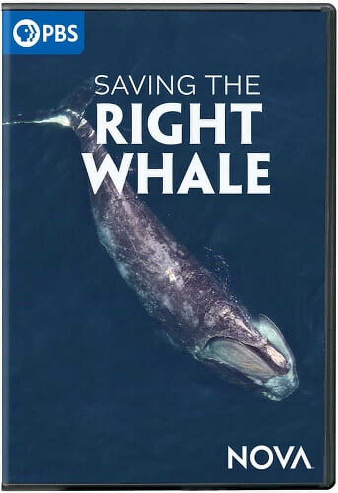 NOVA: Saving The Right Whale (DVD), PBS (Direct), Documentary - Walmart.com