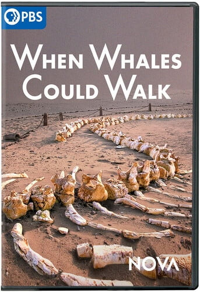 NOVA: When Whales Could Walk (DVD), PBS (Direct), Documentary - Walmart ...