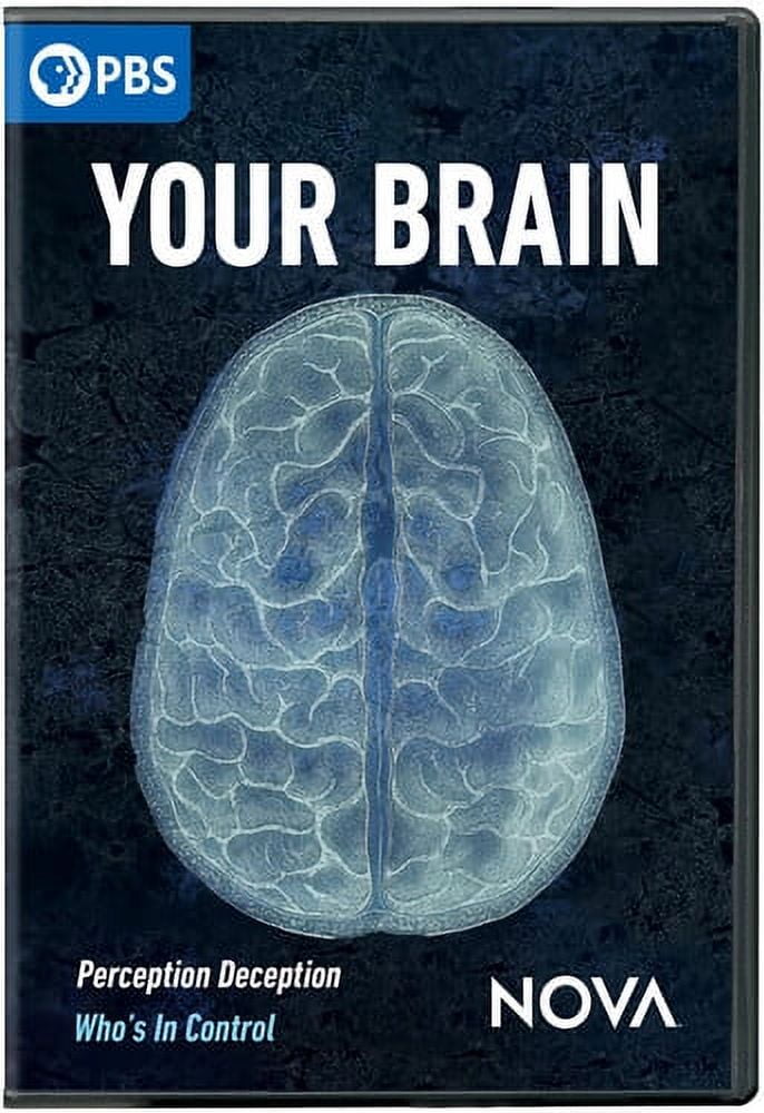 NOVA: Your Brain (DVD), PBS (Direct), Documentary - Walmart.com