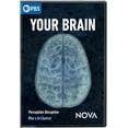 NOVA: Your Brain (DVD), PBS (Direct), Documentary - Walmart.com