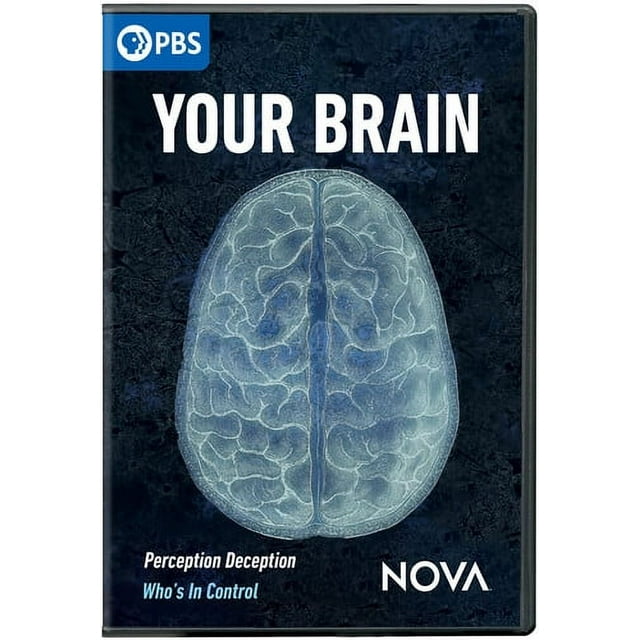 NOVA: Your Brain (DVD), PBS (Direct), Documentary - Walmart.com