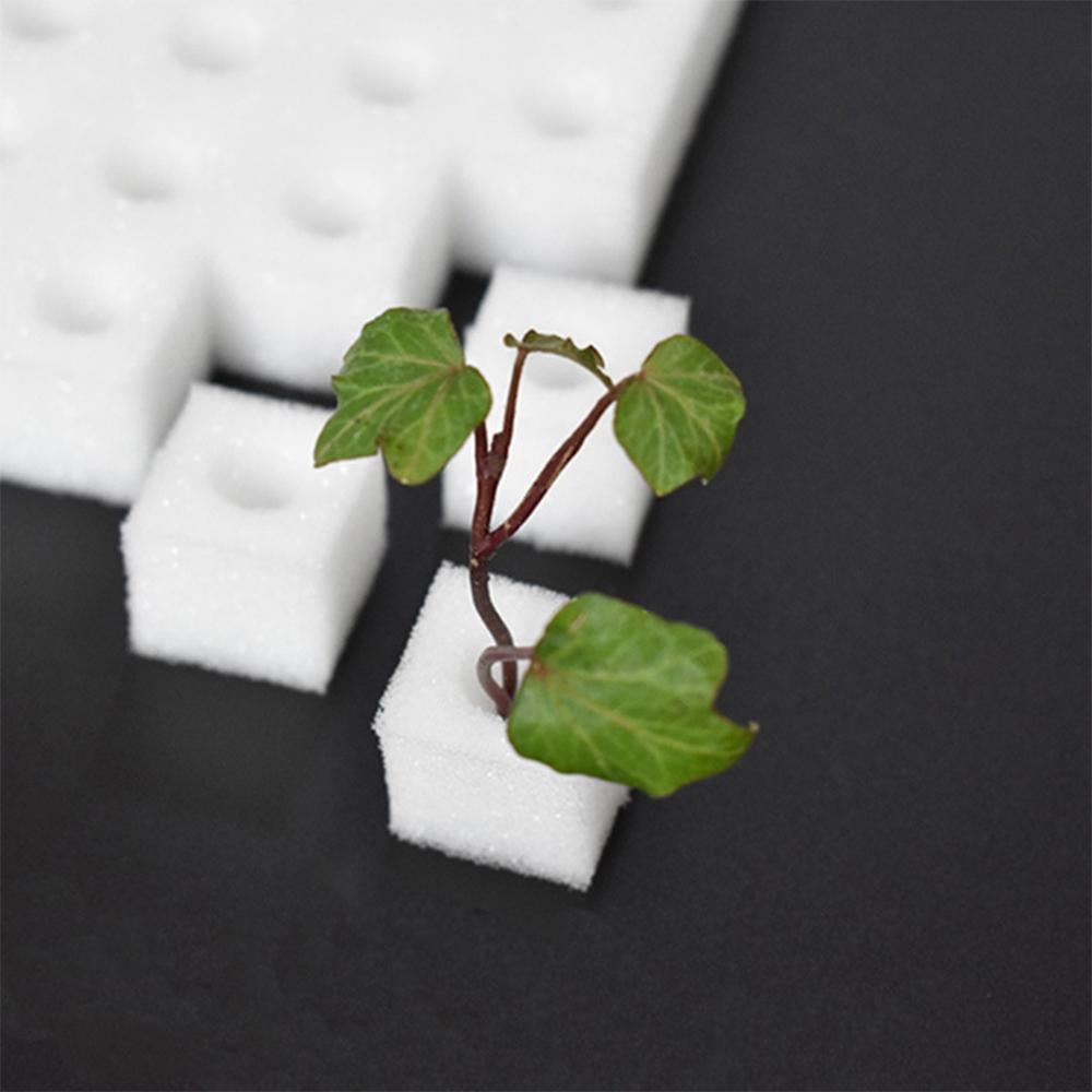 NOVELAR Seedling Starter Sponges, 100-Pack 1-Inch Square Cubes, Easy ...