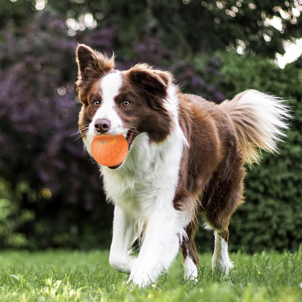 NOVELAR Self-Moving Pet Ball Toy, 2.18 Inch, Automatic Rolling Motion ...