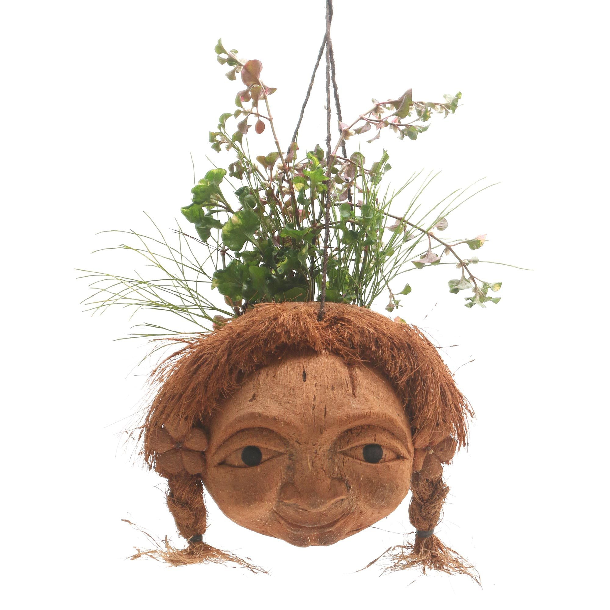 NOVICA Coconut shell hanging planter, 'Pigtails' - Walmart.com