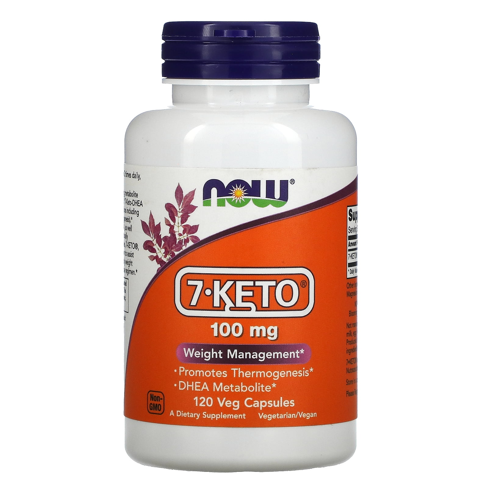 NOW Foods 7-Keto 100 mg - Healthy Aging, Weight Management, 120 ...