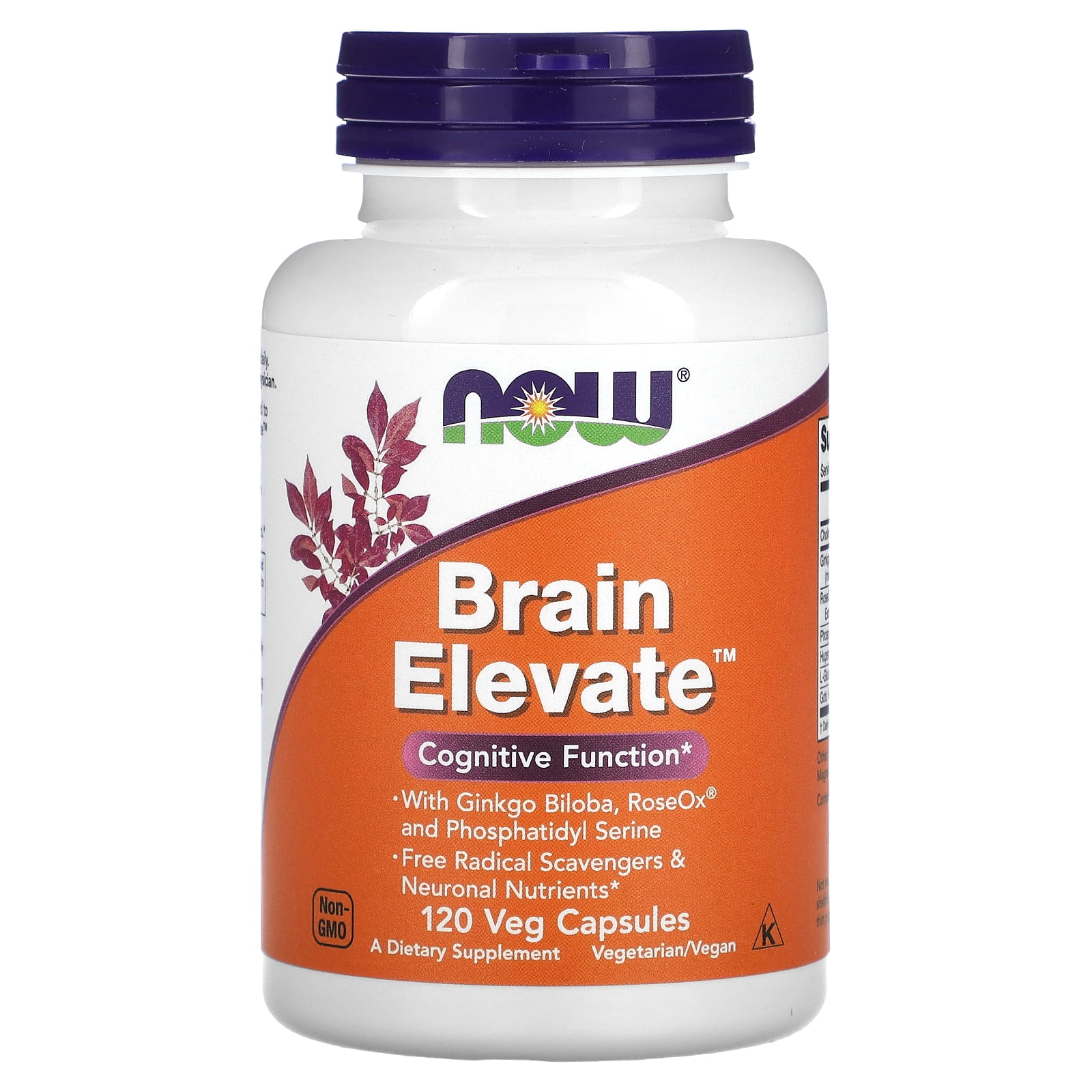 NOW Supplements Brain Elevate, Ginkgo Biloba RoseOx Phosphatidyl Serine ...