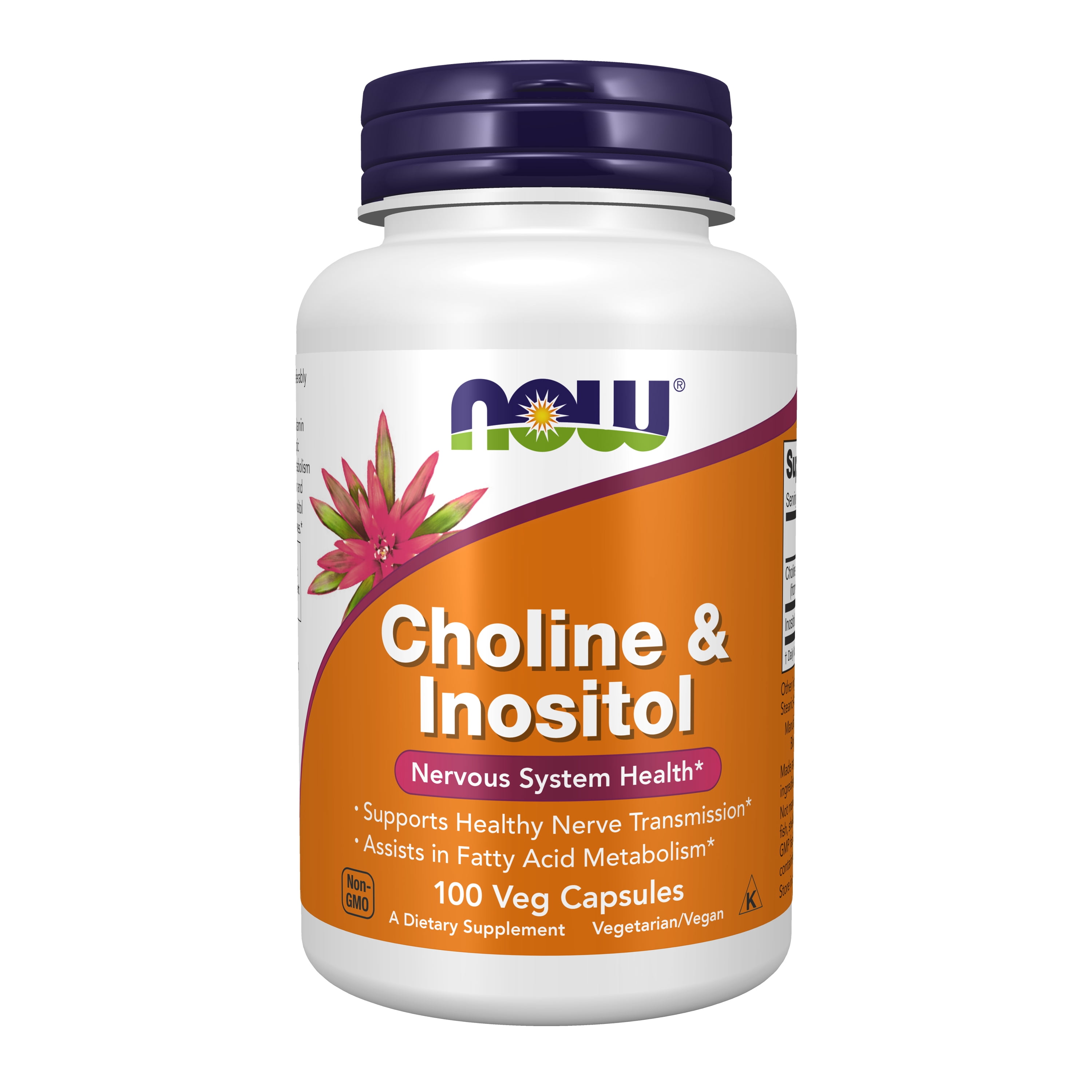 NOW Supplements, Choline & Inositol 500mg, Nervous System Health ...