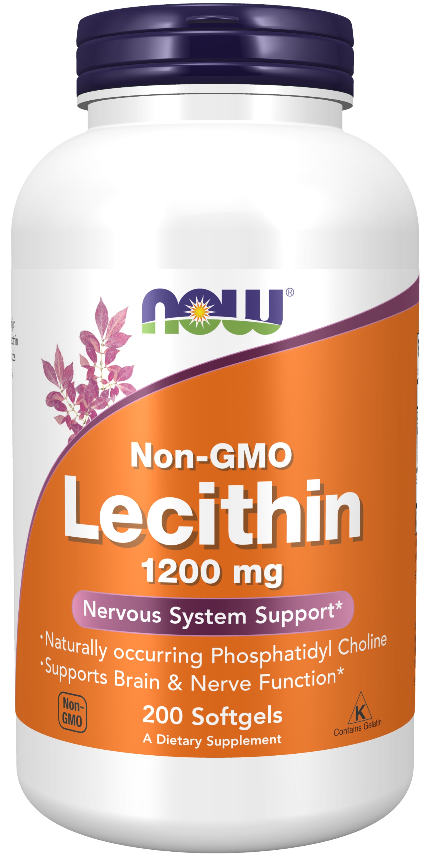 Pure Naturals Lecithin 1200 Mg 240 Softgels - Walmart.com