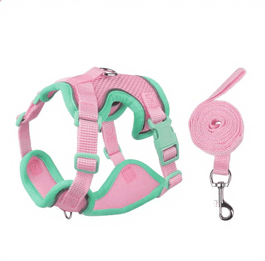NOYAFA Dog Harness & Leash No Pull Puppy Harness for Small to Medium ...