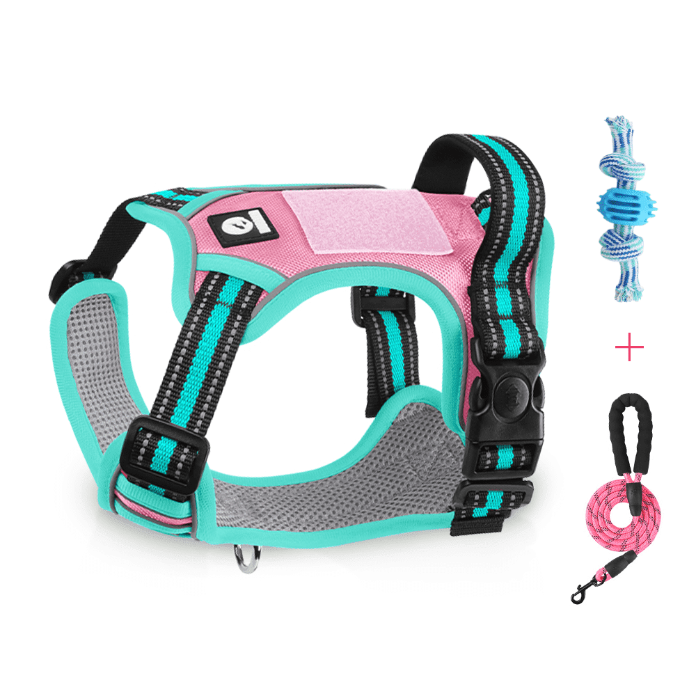 NOYAFA Dog Harness Set with No Pull Dog Harness and Dog Leash & Dog Toy ...
