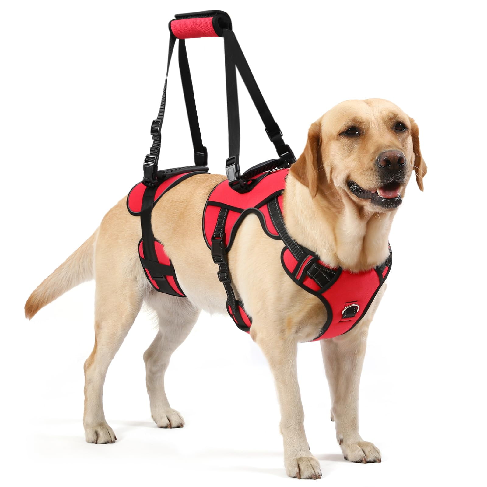NOYAL Dog Lift Harness Pet HYZ01 Support Rehabilitation Sling Lift ...