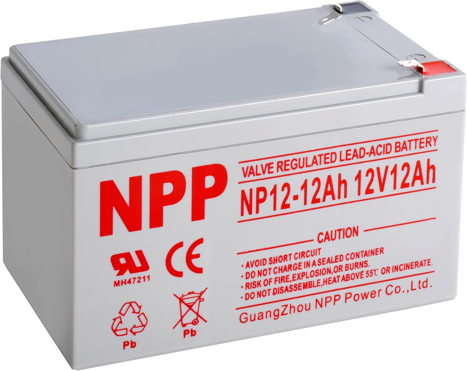 NPP NP12-12Ah (F2) 12V 12Ah AGM Deep Cycle SLA Rechargeable Battery with F2 Style Terminals for ...