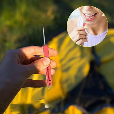 BNNG Mini Dental Floss Picks Portable Case,Storage Disposable ...