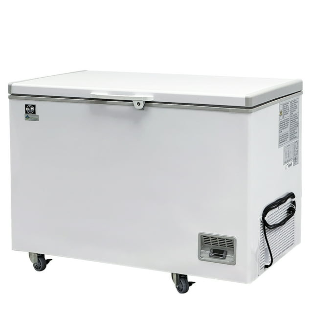 NSF 49 inch Chest Freezer 420L BD-420 - Walmart.com