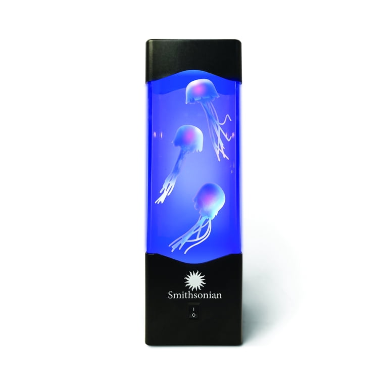 Live Jellyfish Aquarium