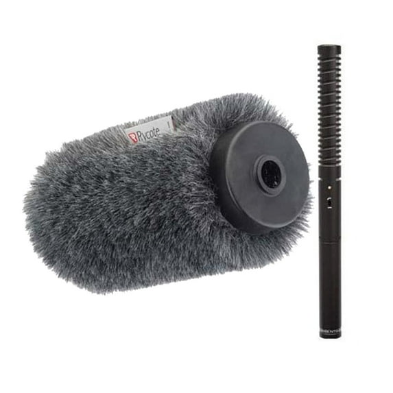 Rode NTG-2 Dual Powered Directional Condenser Microphone with 14cm ...