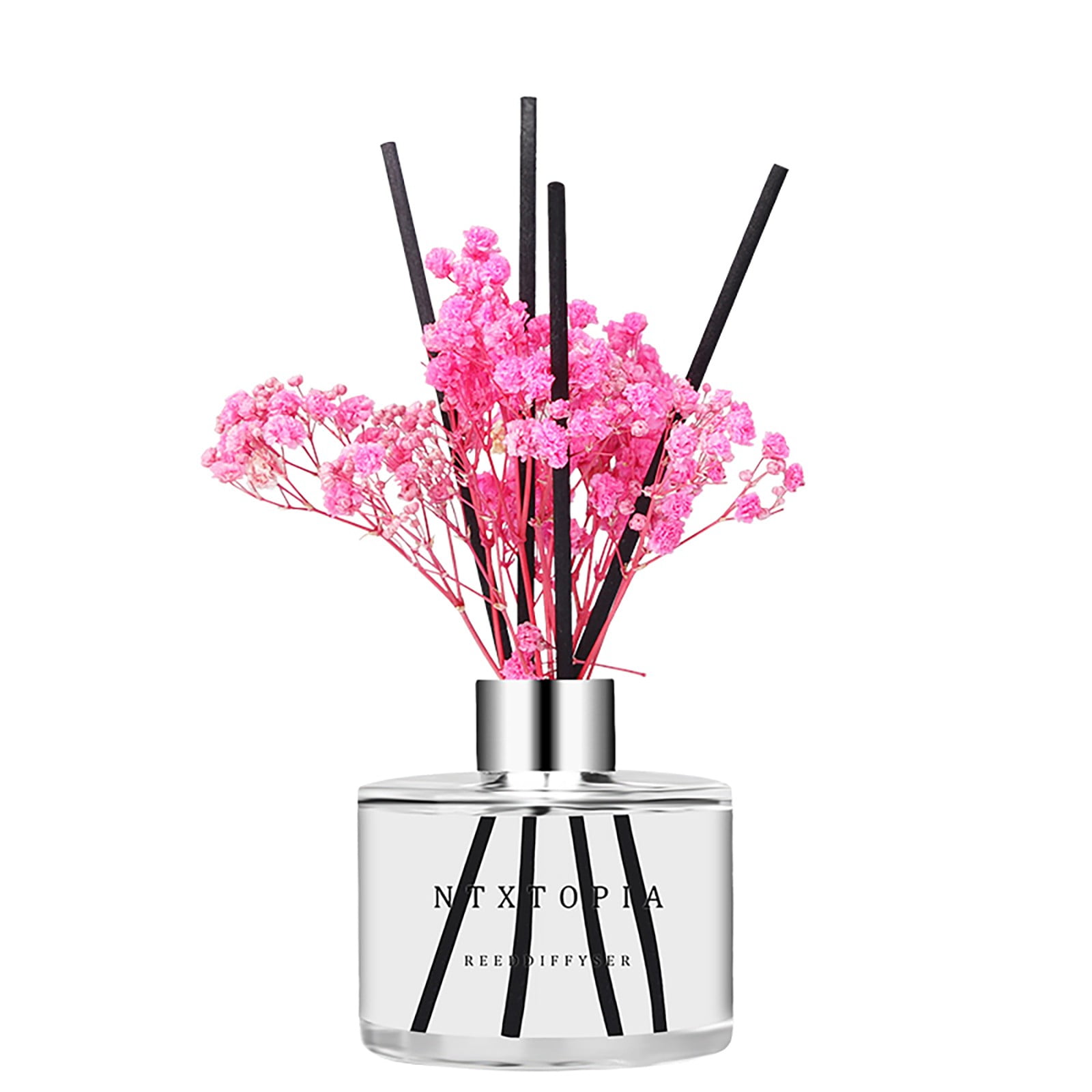 NTXTOPIA Reed Diffuser Set with Preserved Baby's Breath with Sticks ...