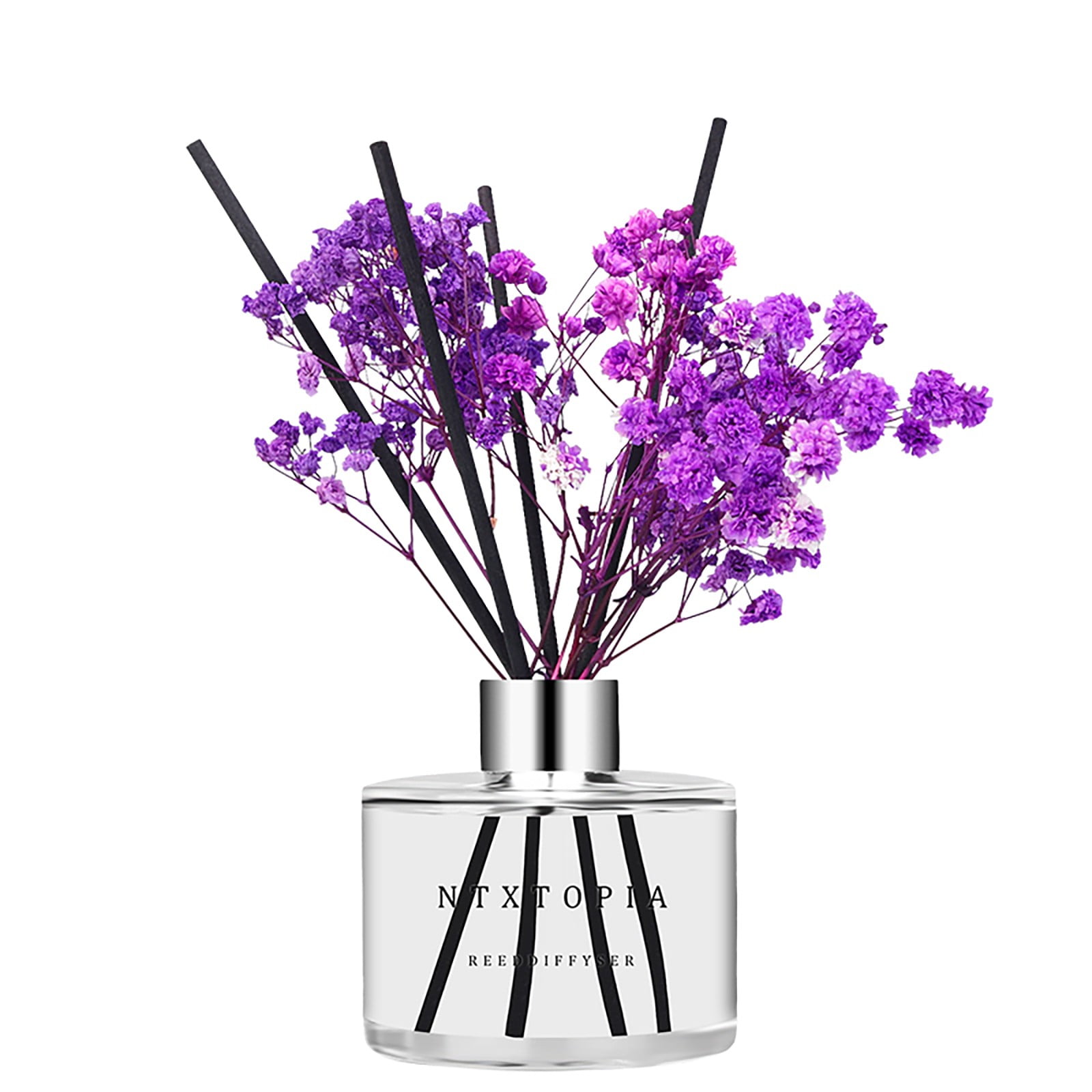 NTXTOPIA Reed Diffuser Set with Preserved Baby's Breath with Sticks ...