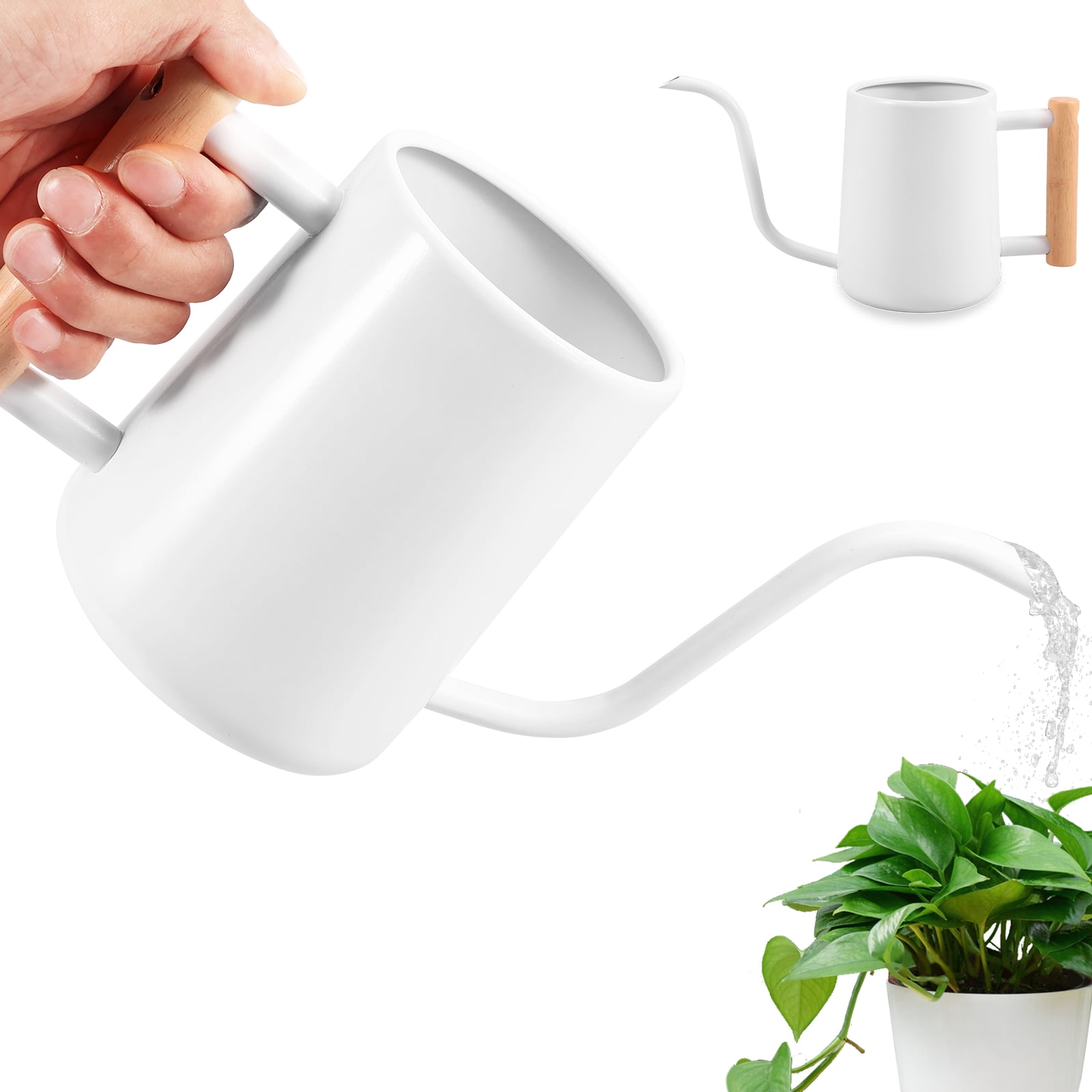 NUAHRHY 35oz/1L Watering Can Small Watering Can Indoor Plants with ...
