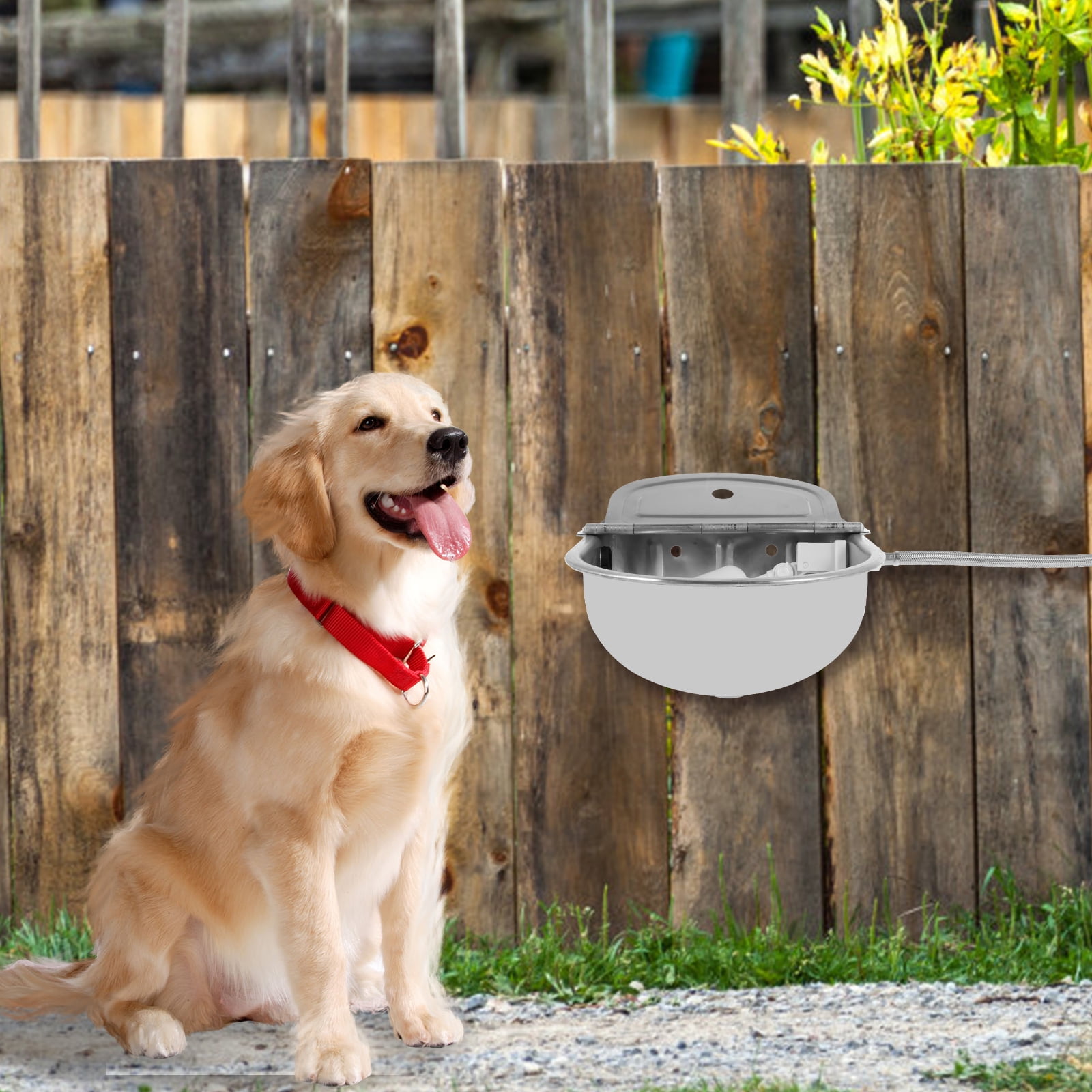 NUAHRHY Automatic Animal Drinking Water Bowl 304 Stainless Steel Animal Water Dispenser with ...