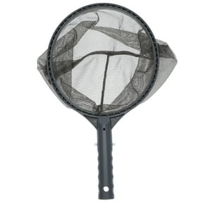 Simple Scoop For Pool