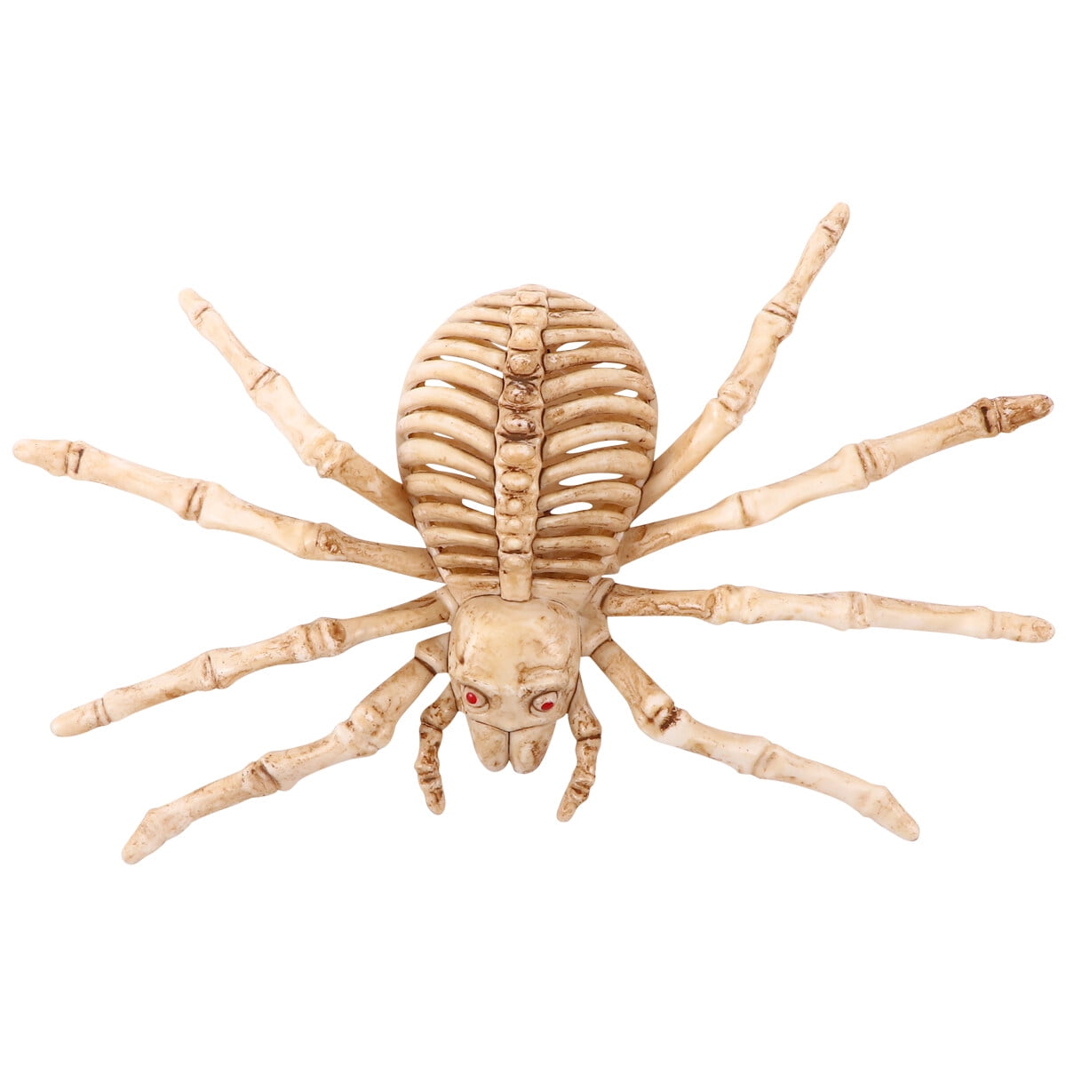 NUOLUX 1pc Skeleton Spider Bone Scary Skeleton Decor Skeleton Bone ...