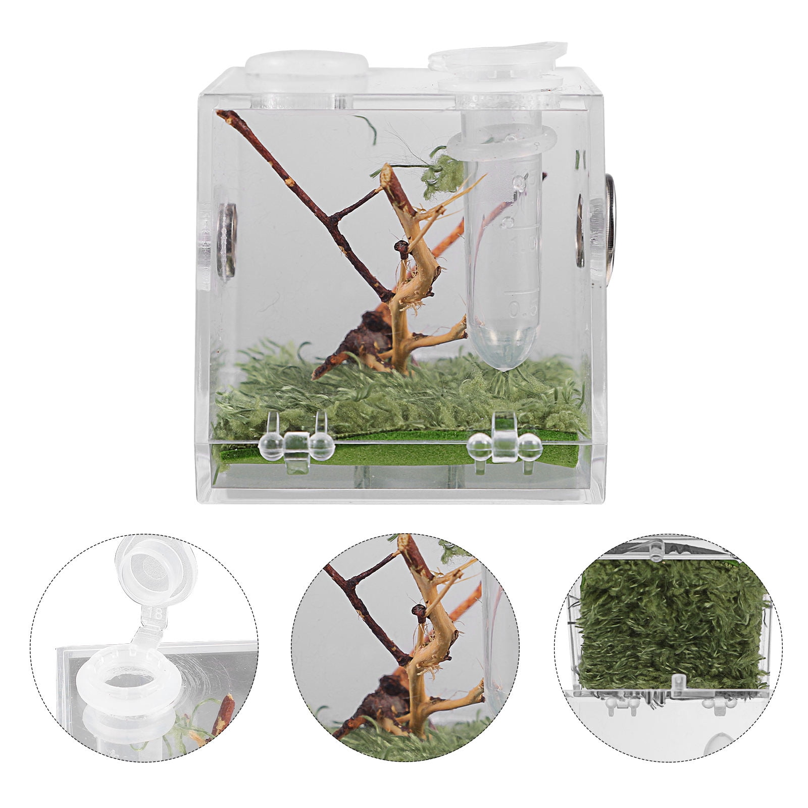 NUOLUX 3Set Reptile Breeding Box 5.2X5.2X5.2CM for Insect Enthusiasts ...