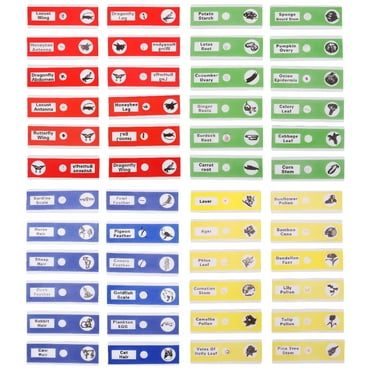 Learning Resources Prepared Slides Set 2, 24 Specimens - Walmart.com