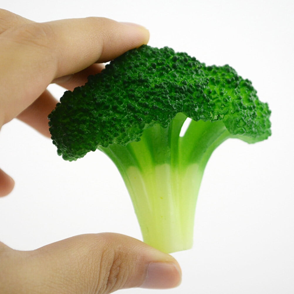 NUOLUX 6Pcs Simulation Broccoli Model with Realistic Design for ...