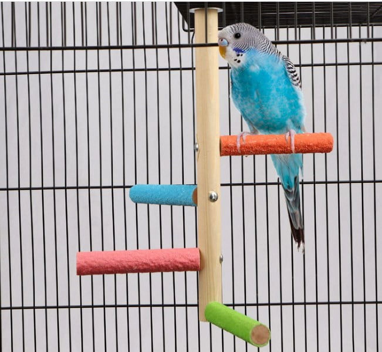 NUOLUX Bird Perch Stand Natural Wood Parrot Perch Bird Cage Standing ...