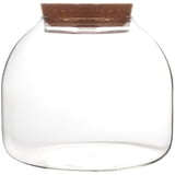 NUOLUX Glass Terrarium Jar, Wood Stopper, Micro Landscape Container ...