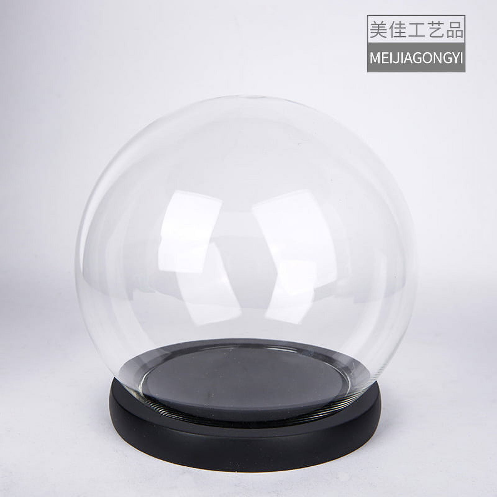 NUOLUX Miniature Glass Display Dome Round Plant Dome Glass Display Case ...