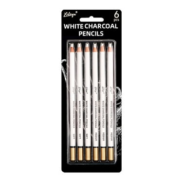 CNKOO 14pcs/set Professional Sketching Graphite Charcoal Pencils Set for Drawing - Walmart.com