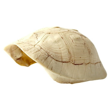 Turtle Hiding Hole Reptiles Hideout Cave Hides and Caves Animal Decor ...